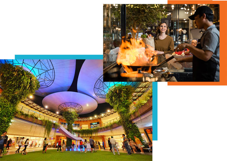 Home - Vista Mall