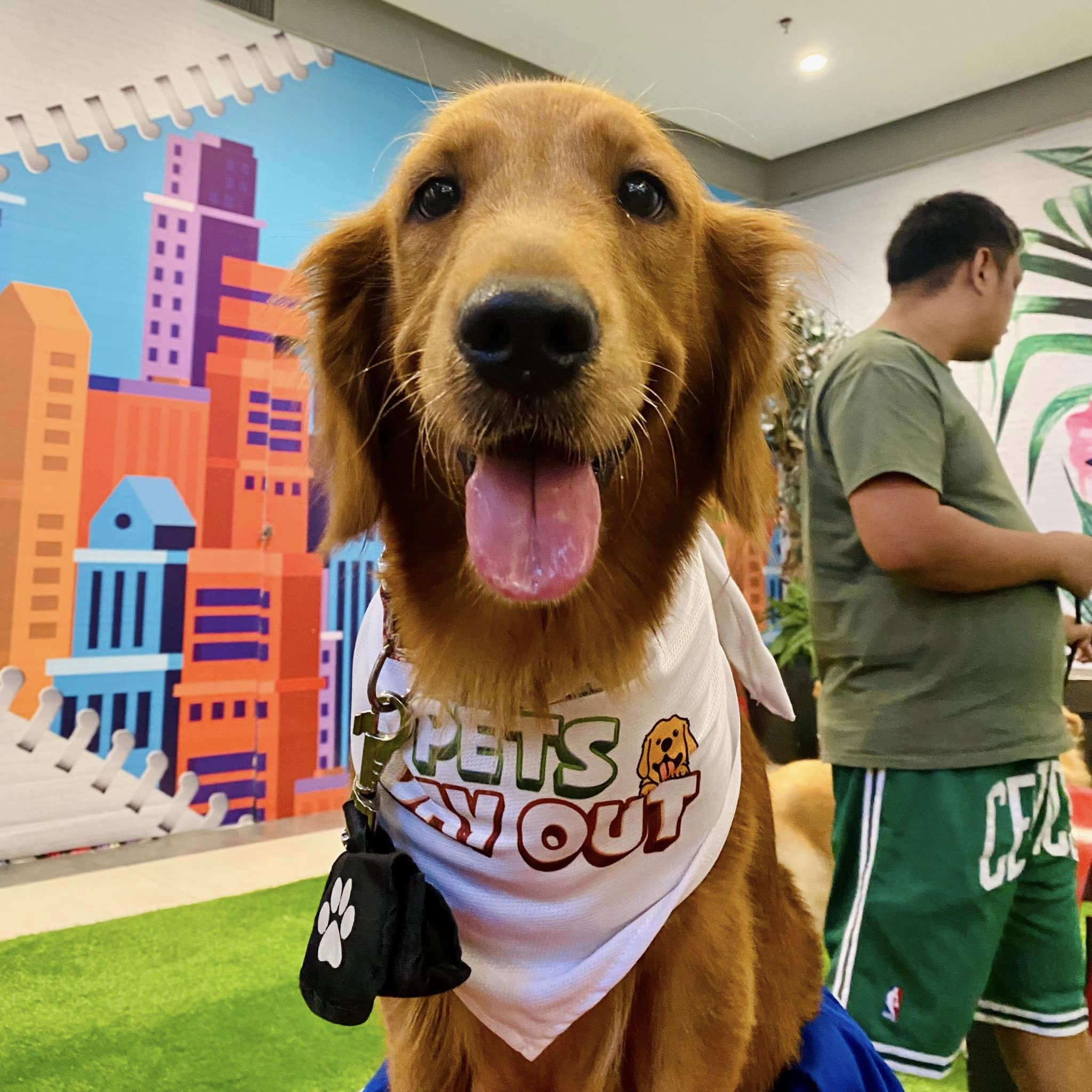 Vista Mall - Vista Mall Dasmariñas gathers the Golden Gang: Golden ...